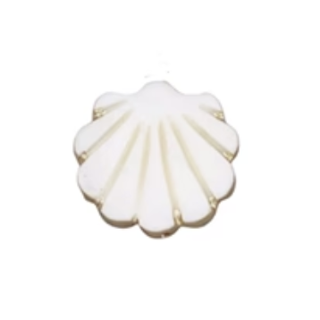 White Glossy Shell Shape CW008 – coastal caviar